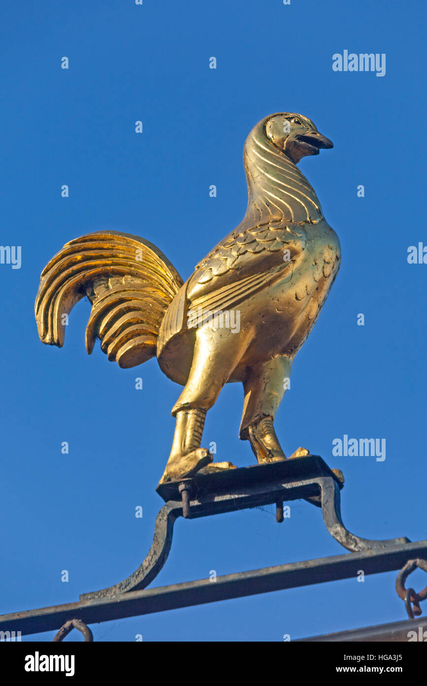 Golden cockerel hi-res stock photography and images - Alamy