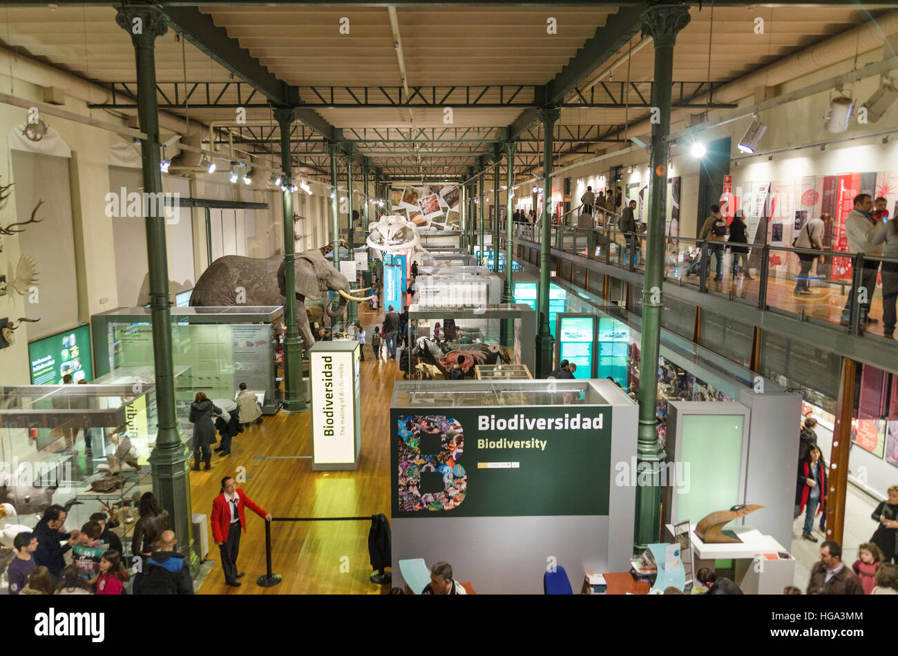 Madrid, Spain - November 17, 2012: Tourist visiting National science ...