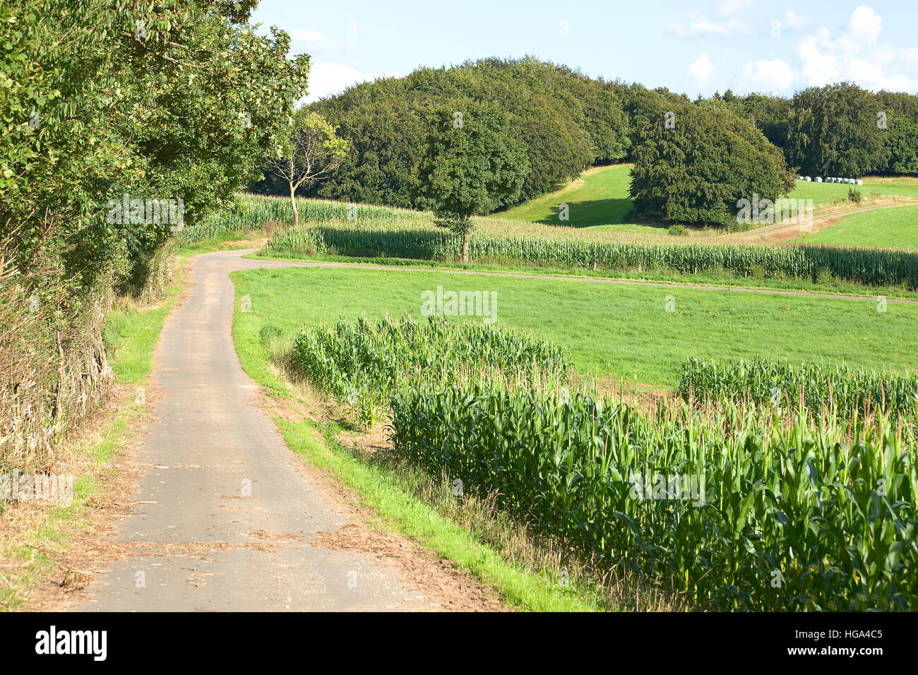 Typical landscape in the Eifel, Germany Stock Photo - Alamy