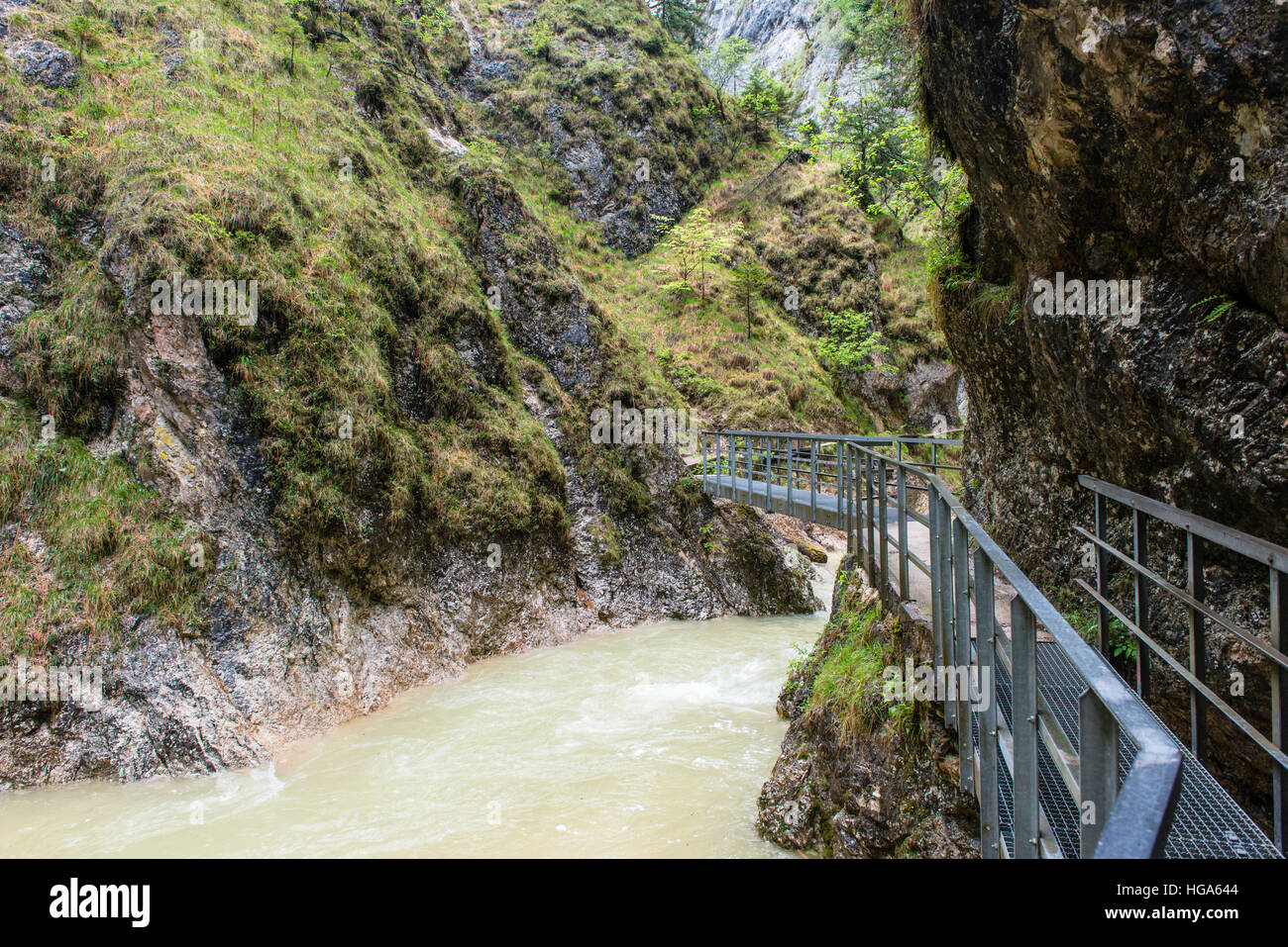 Gorge with stream, Almbachklamm with Almbach, Berchtesgaden Alps ...