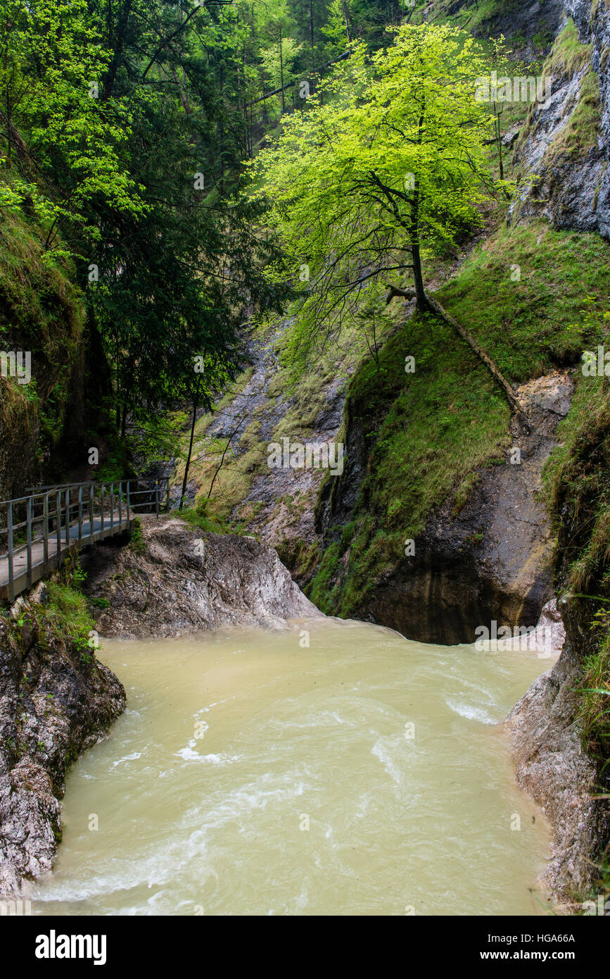 Gorge with stream, Almbachklamm with Almbach, Berchtesgaden Alps ...