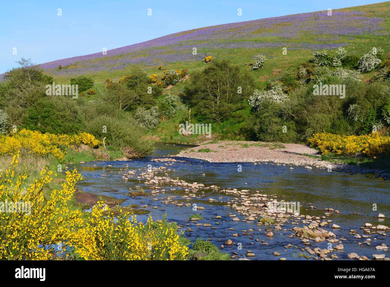 Breamish hi-res stock photography and images - Alamy