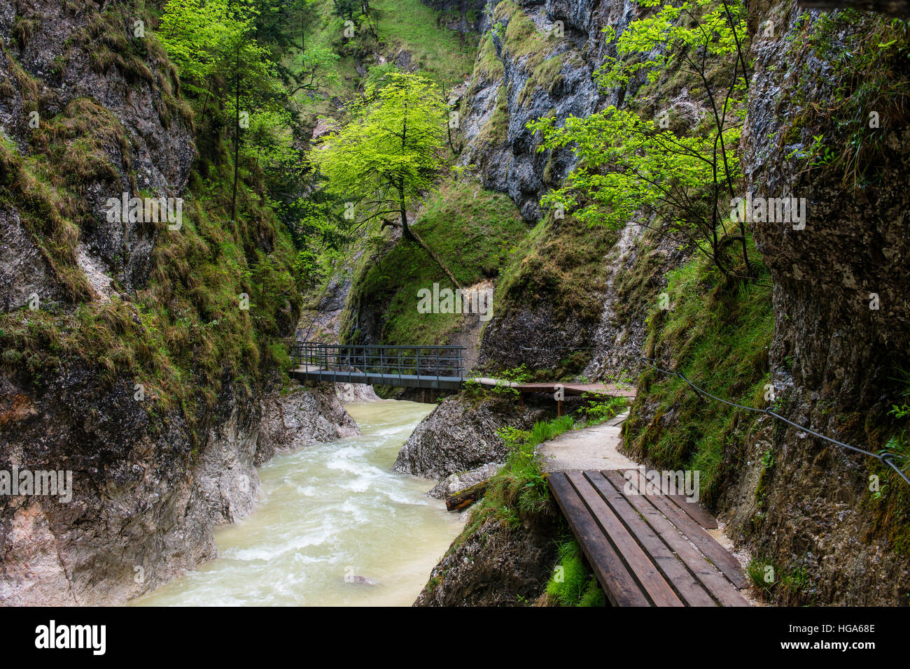 Gorge with stream, Almbachklamm with Almbach, Berchtesgaden Alps ...