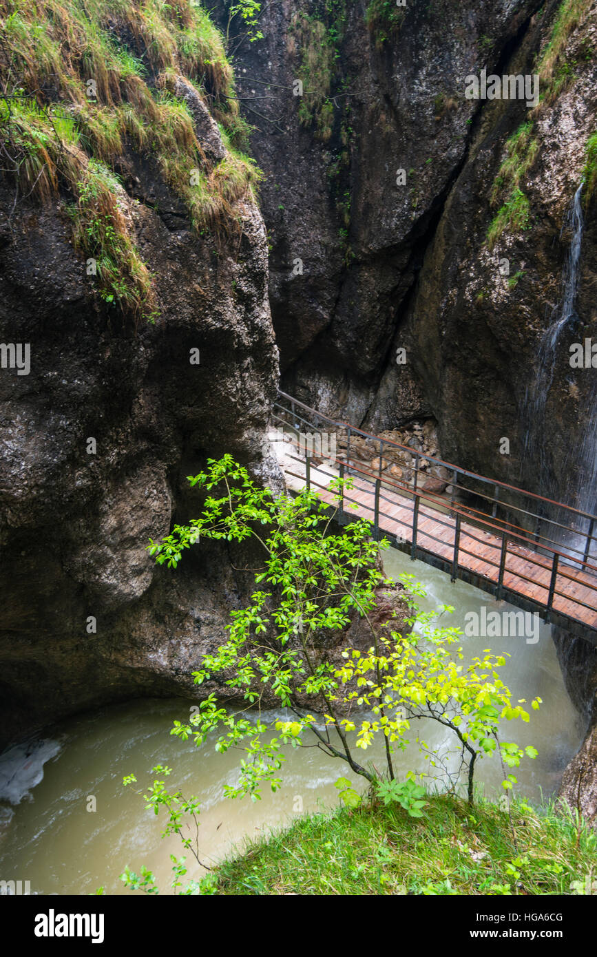 Gorge with stream, Almbachklamm with Almbach, Berchtesgaden Alps ...