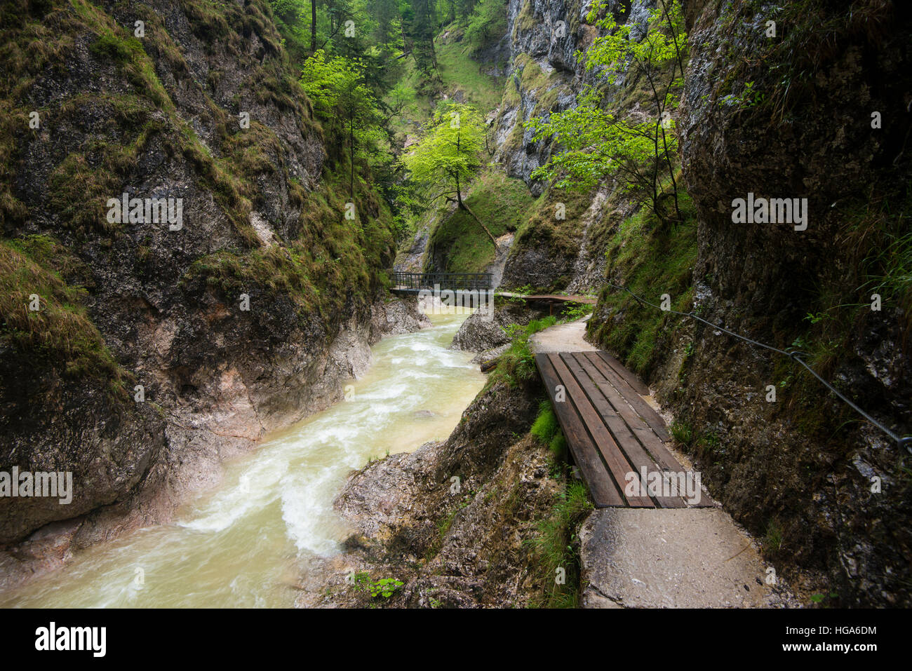 Gorge with stream, Almbachklamm with Almbach, Berchtesgaden Alps ...