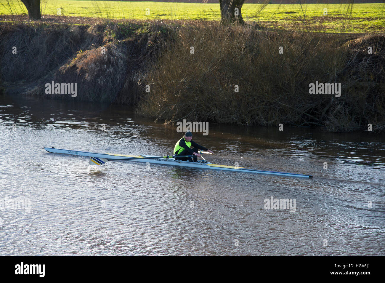 Sculling blades hi-res stock photography and images - Alamy