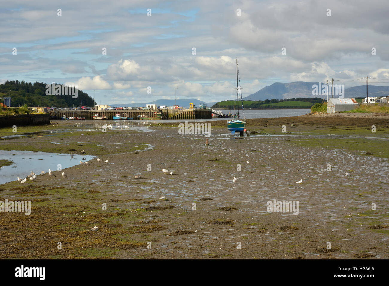Bantry Harbour at Low Tide Stock Photo - Alamy