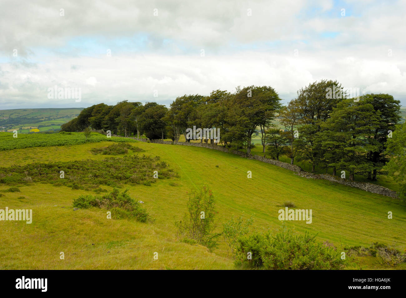 Boundary wall hi-res stock photography and images - Alamy