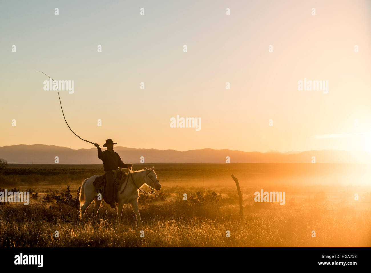 Cracking The Whip Stock Photo Alamy
