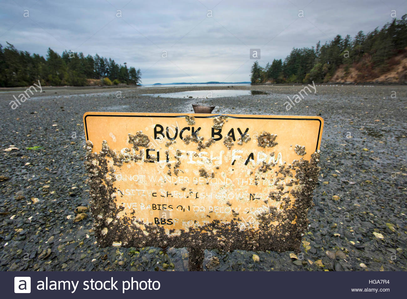 Orcas Island Washington High Resolution Stock Photography and Images ...