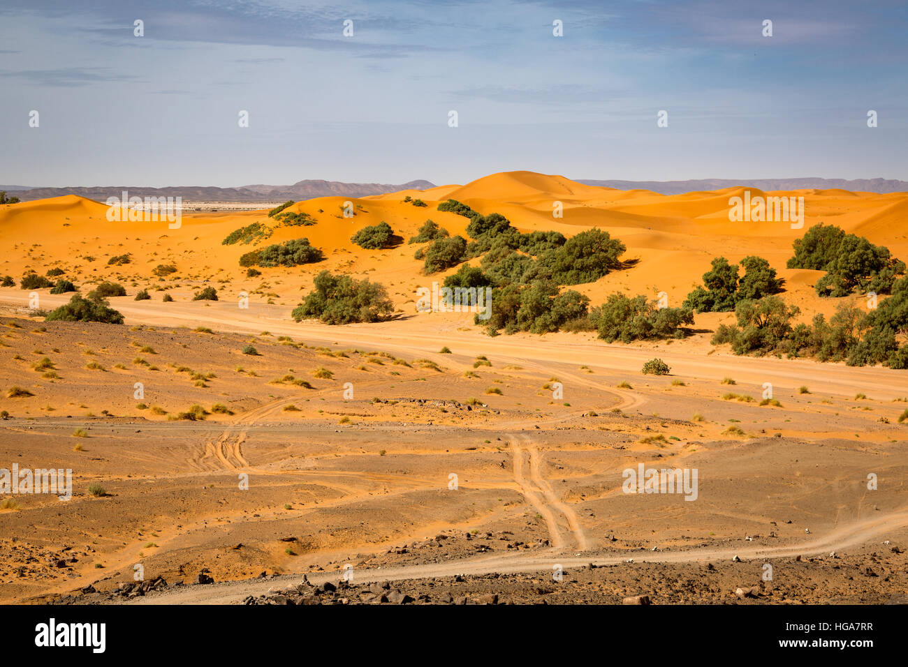 In these places meets stony Hamada desert with sand Sahara Desert near ...
