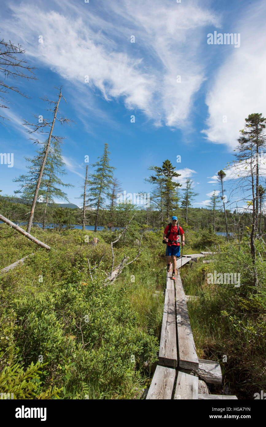 Hiker on log bridge hi-res stock photography and images - Alamy