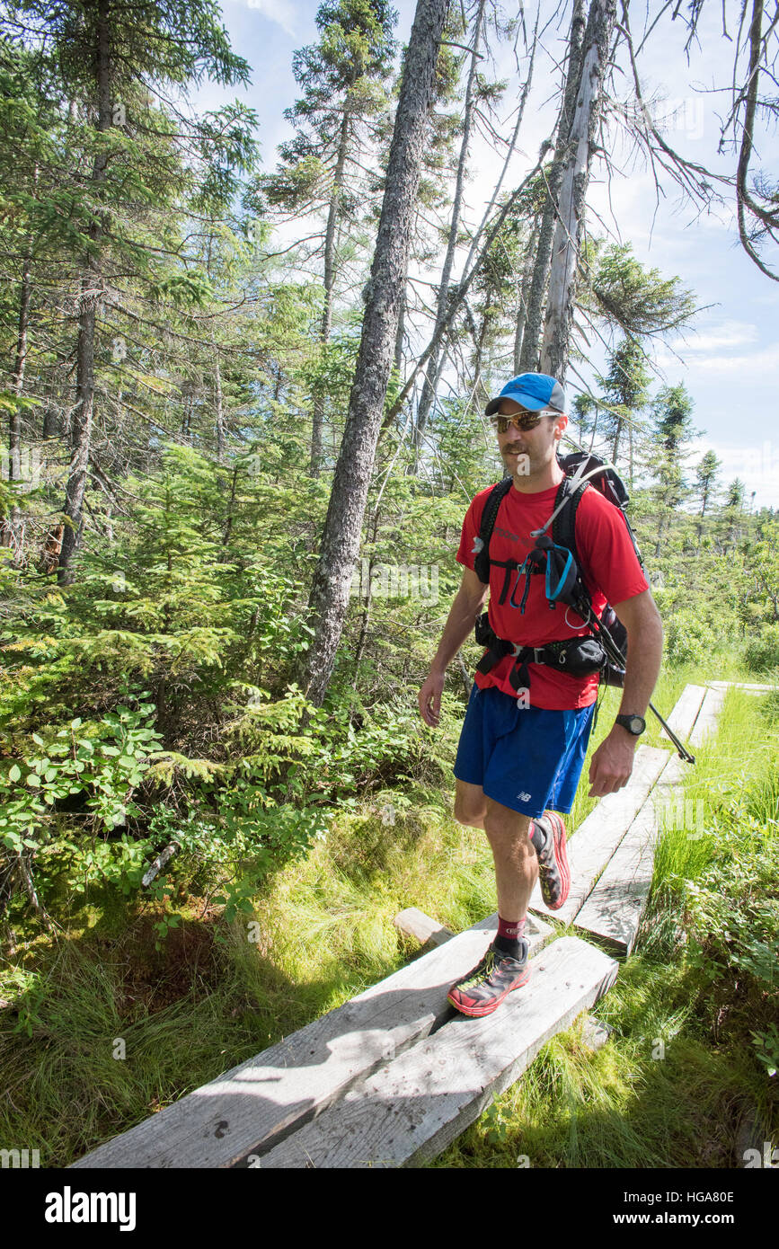 Log walkway hi-res stock photography and images - Alamy