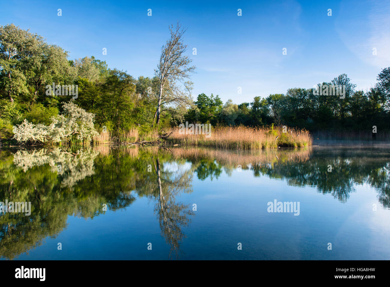 Danube wetlands austria hi-res stock photography and images - Alamy