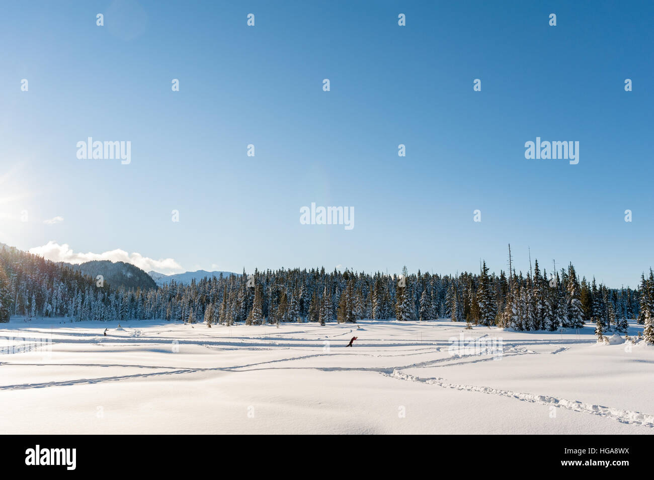 X country tr hi-res stock photography and images - Alamy