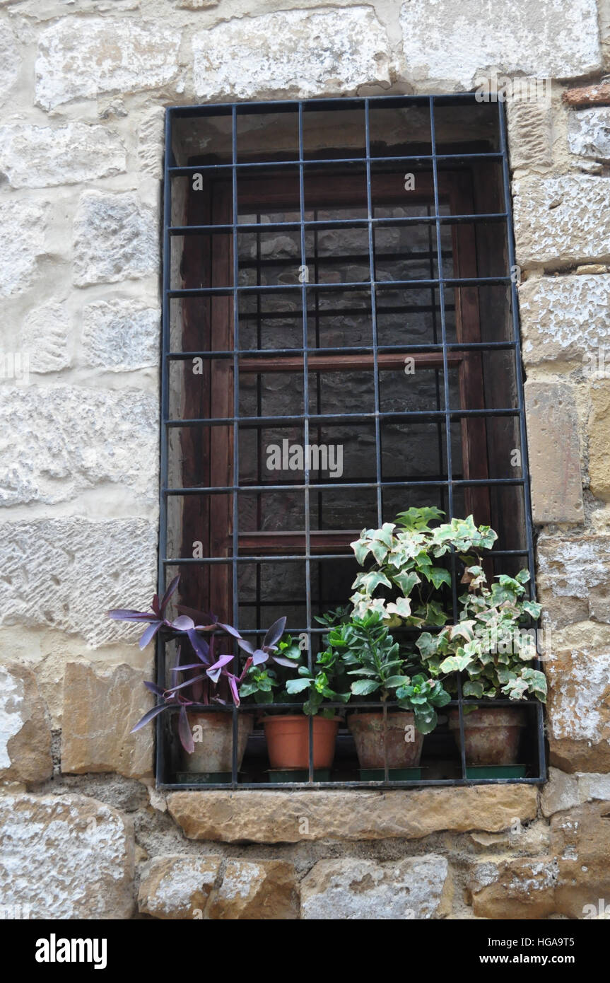 antique window with fence and flowers pots Stock Photo - Alamy