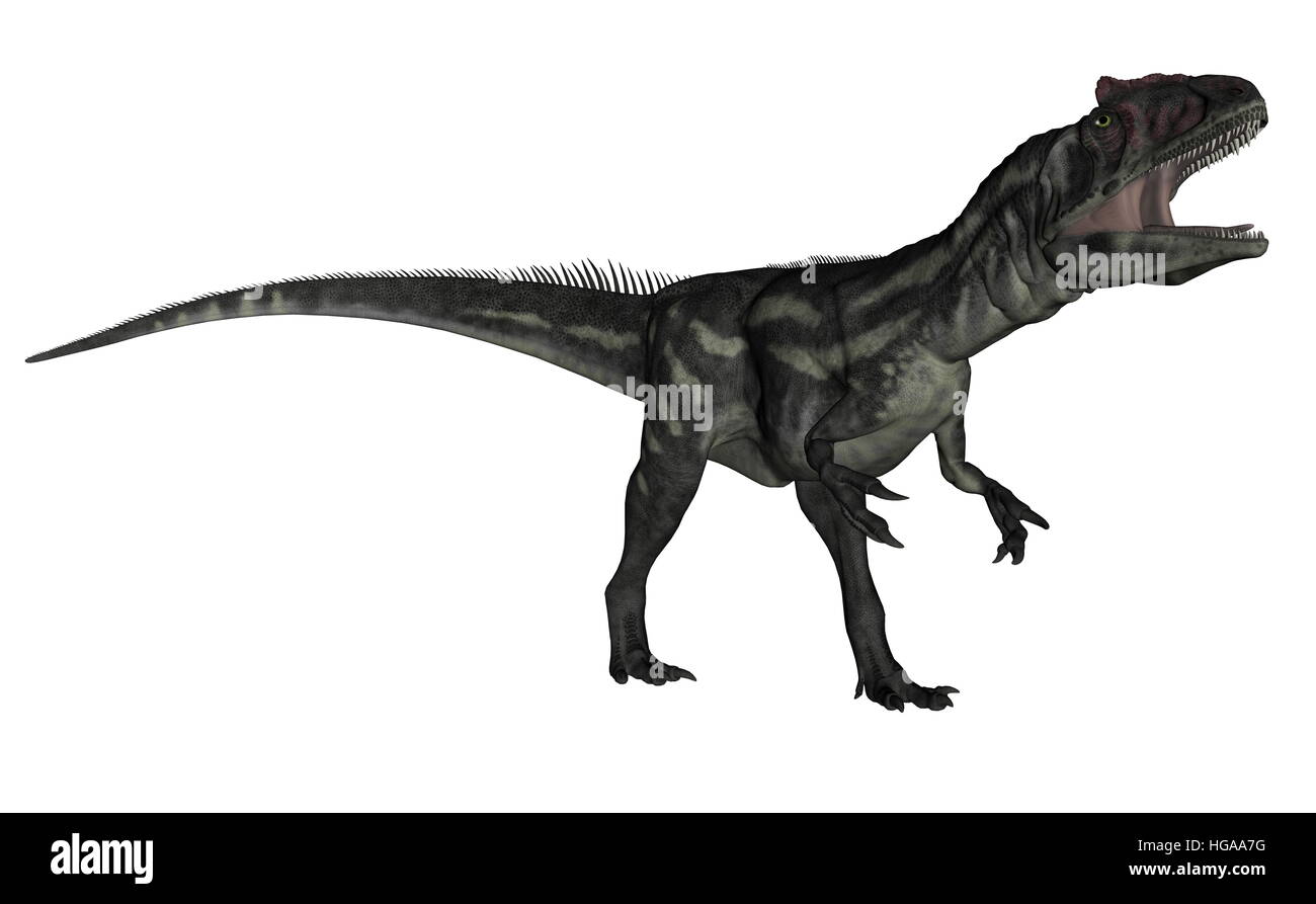 Allosaurus dinosaur roaring isolated in white background - 3D render ...