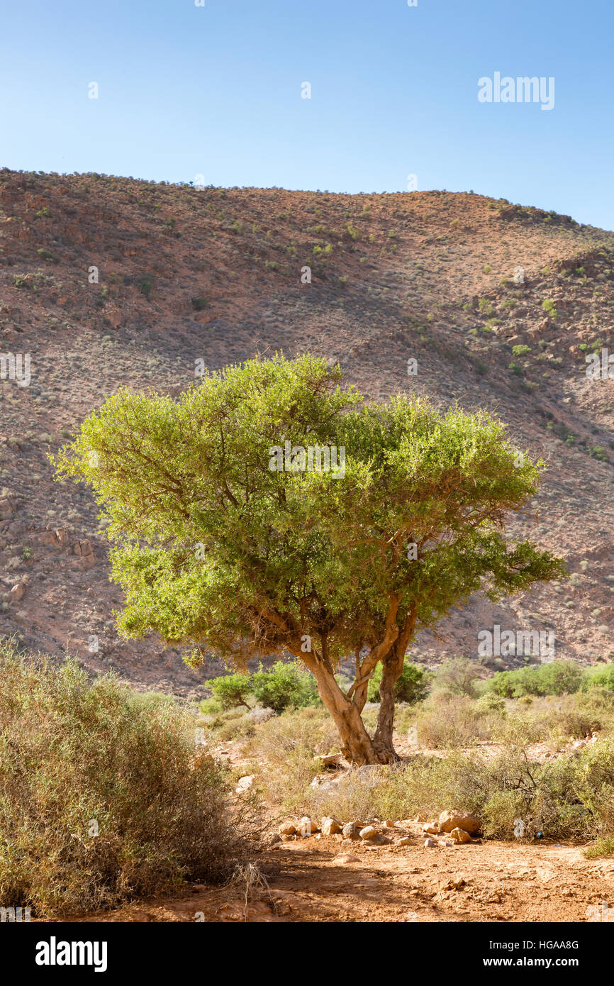 Landscape of southern Morocco is characterized by mountains, plains ...