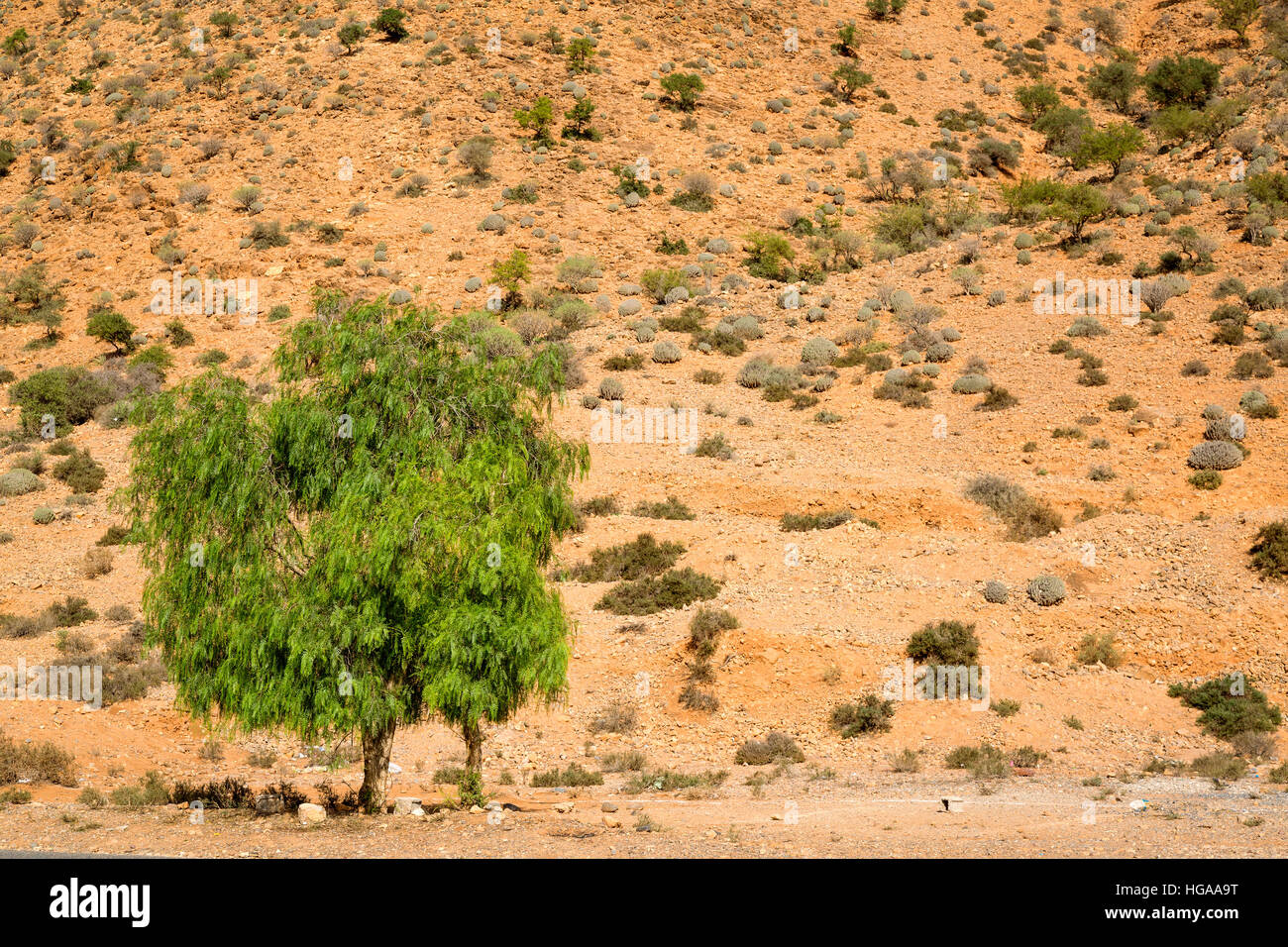 Landscape of southern Morocco is characterized by mountains, plains ...