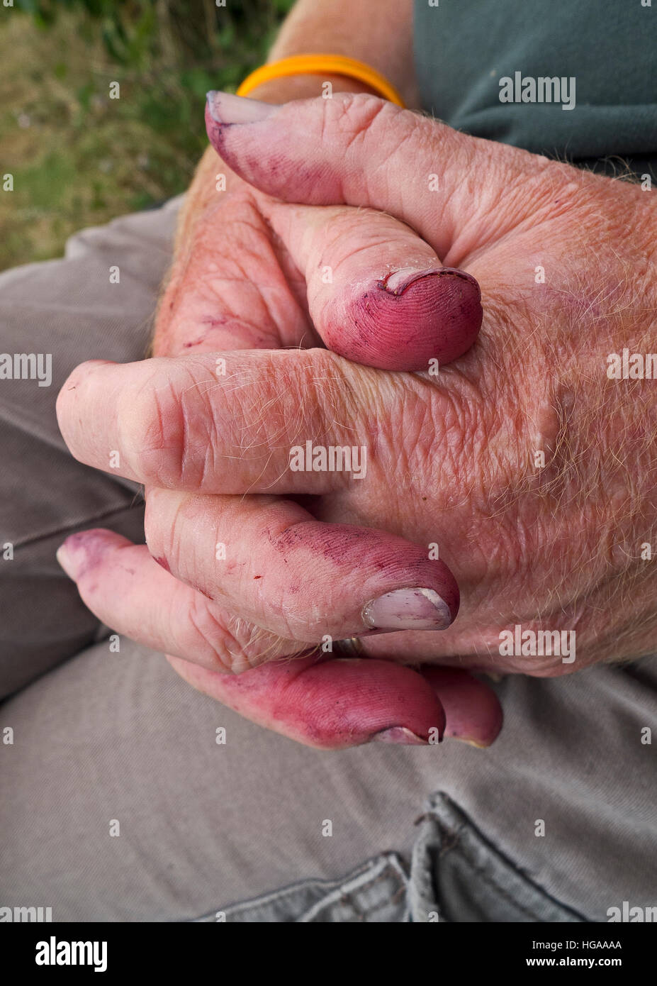 Clasped Fingers High Resolution Stock Photography and Images - Alamy