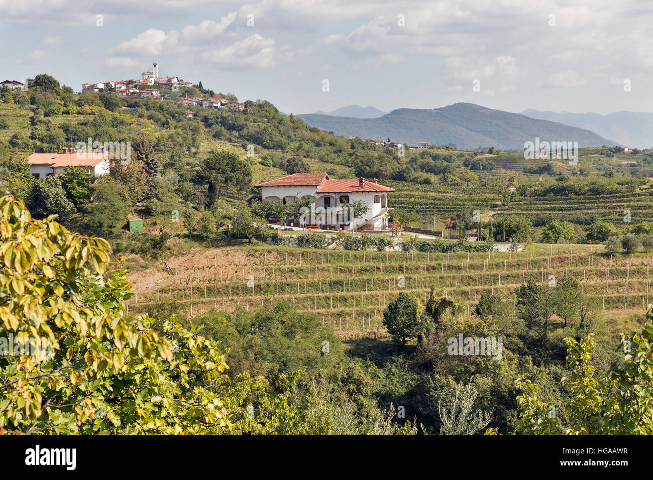 Picturesque rural mediterranean landscape with village, vineyards and ...