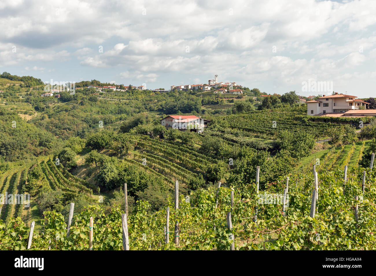 Picturesque rural mediterranean landscape with village, vineyards and ...