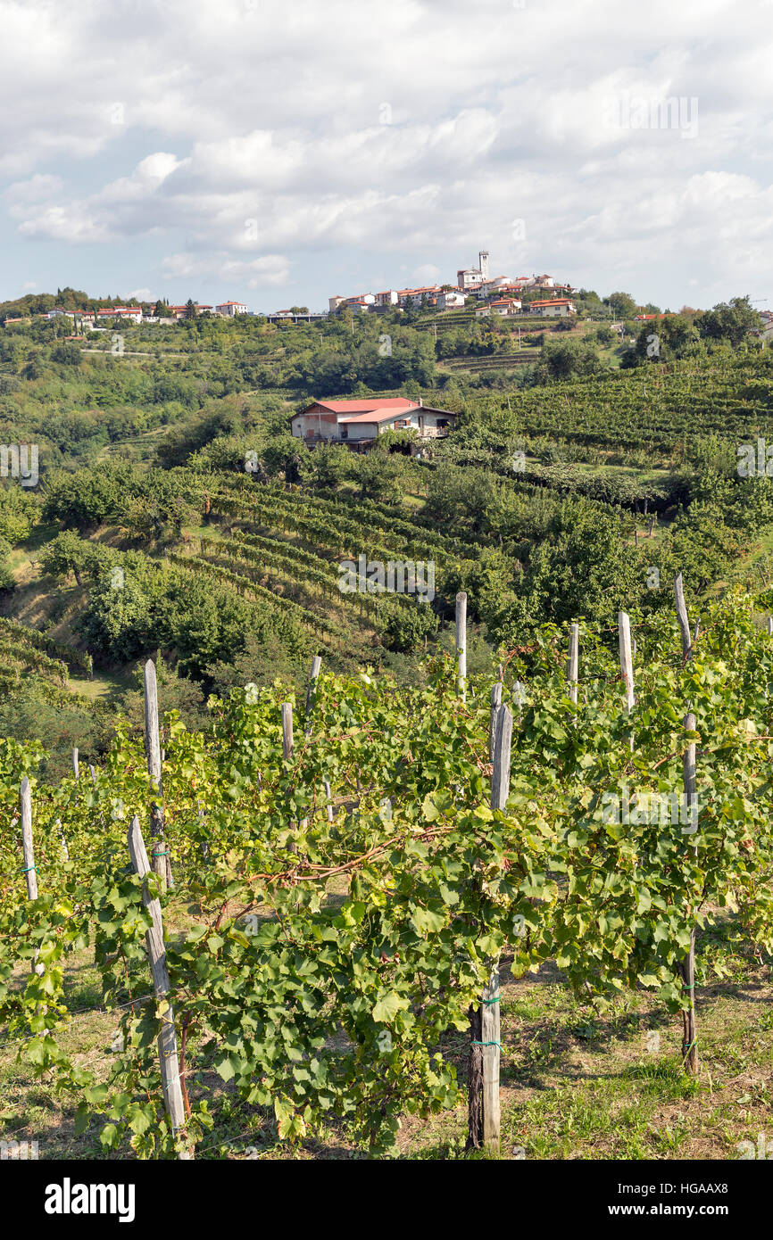 Picturesque rural mediterranean landscape with village, vineyards and ...