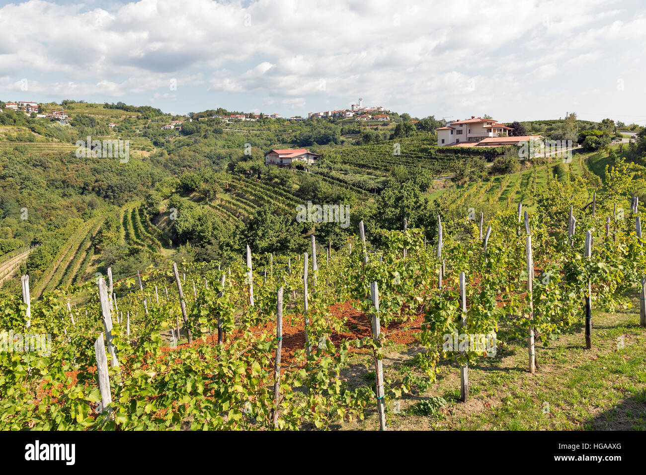 Picturesque rural mediterranean landscape with village, vineyards and ...
