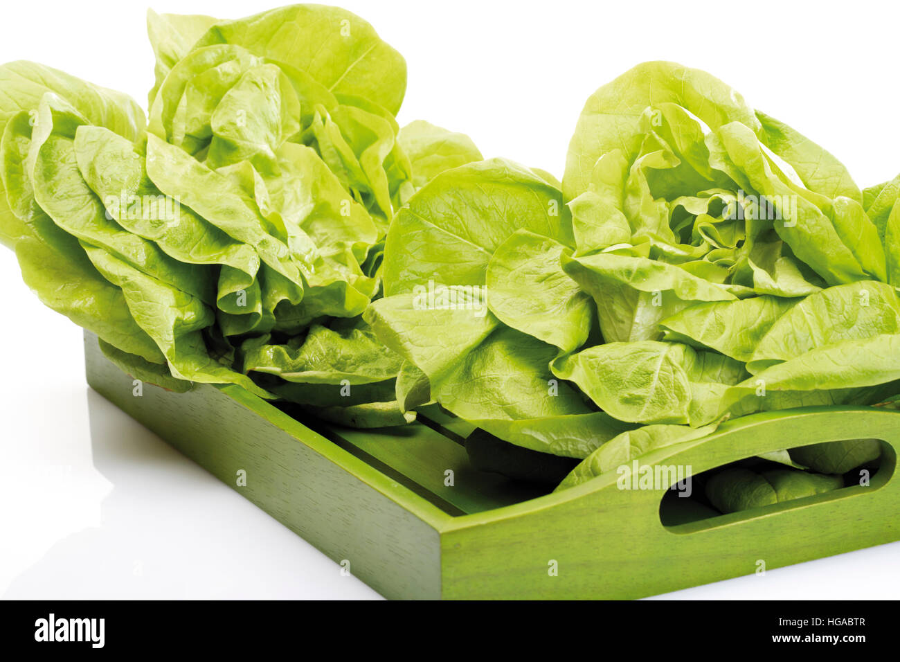 Lettuce on a green tray Stock Photo - Alamy
