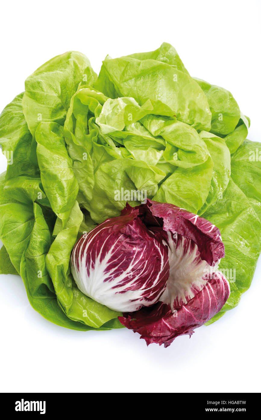 Lettuce and radicchio Stock Photo - Alamy