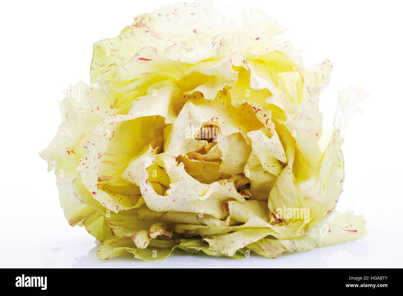 Castelfranco lettuce hi-res stock photography and images - Alamy