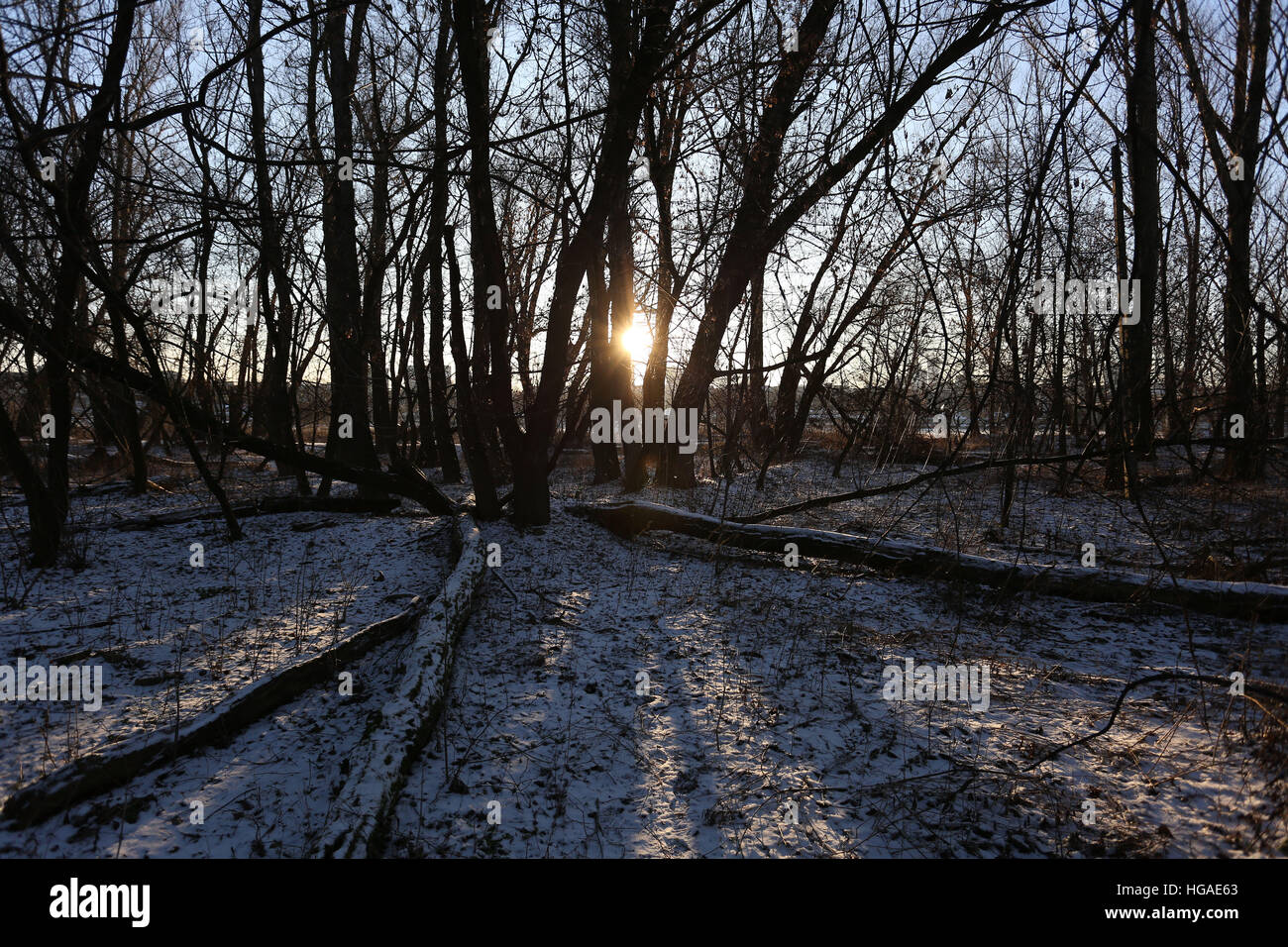 Poland, Warsaw, 6th January 2017: Frosty temperatures at -13°C cause ...