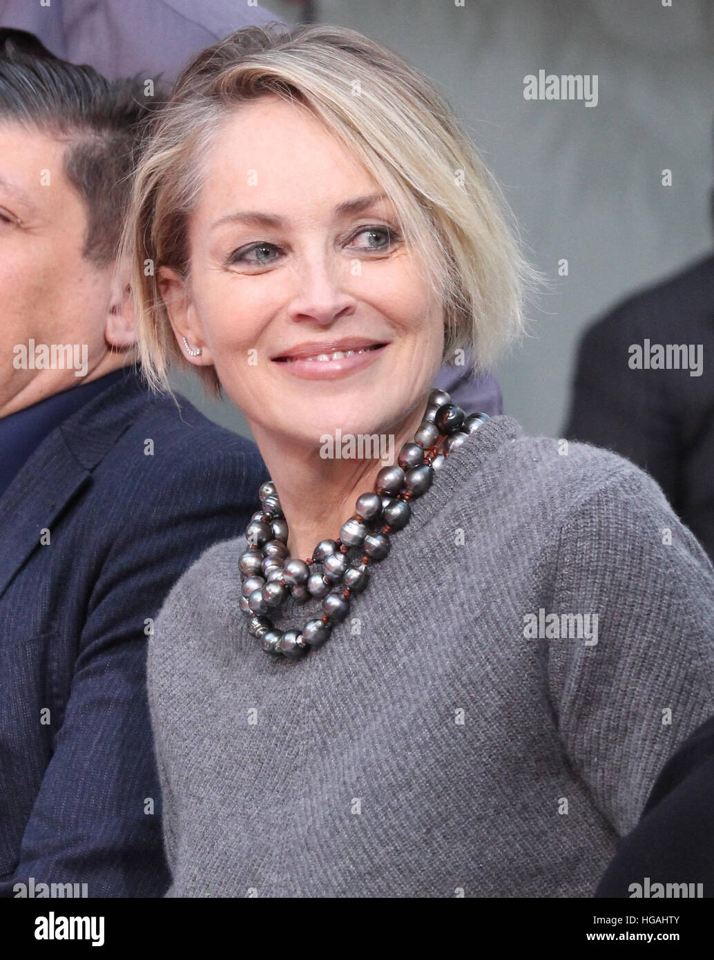 Sharon stone where hi-res stock photography and images - Alamy