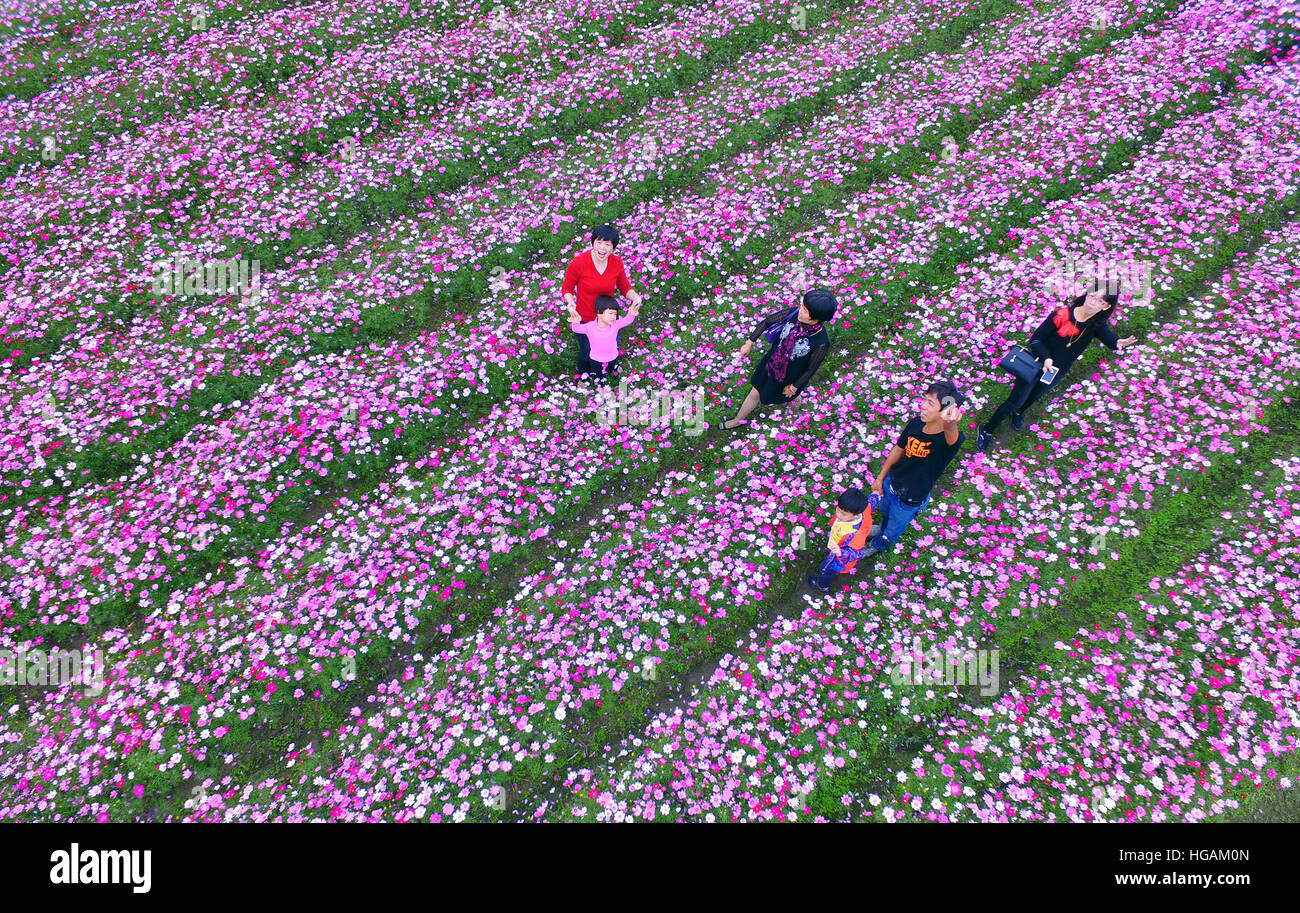 Nanan chinas fujian province 7th hi-res stock photography and images ...