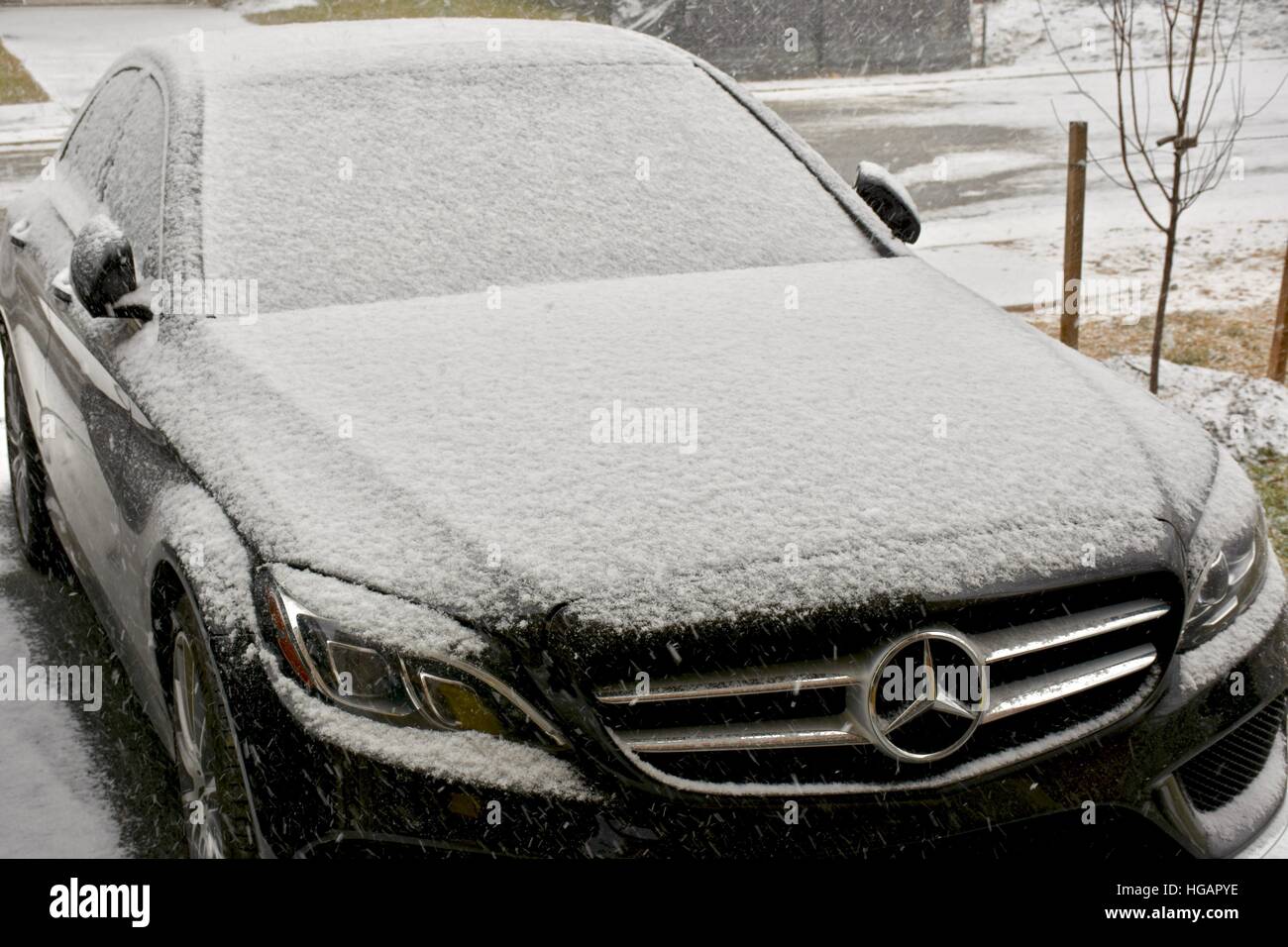 Snowy logo hi-res stock photography and images - Alamy