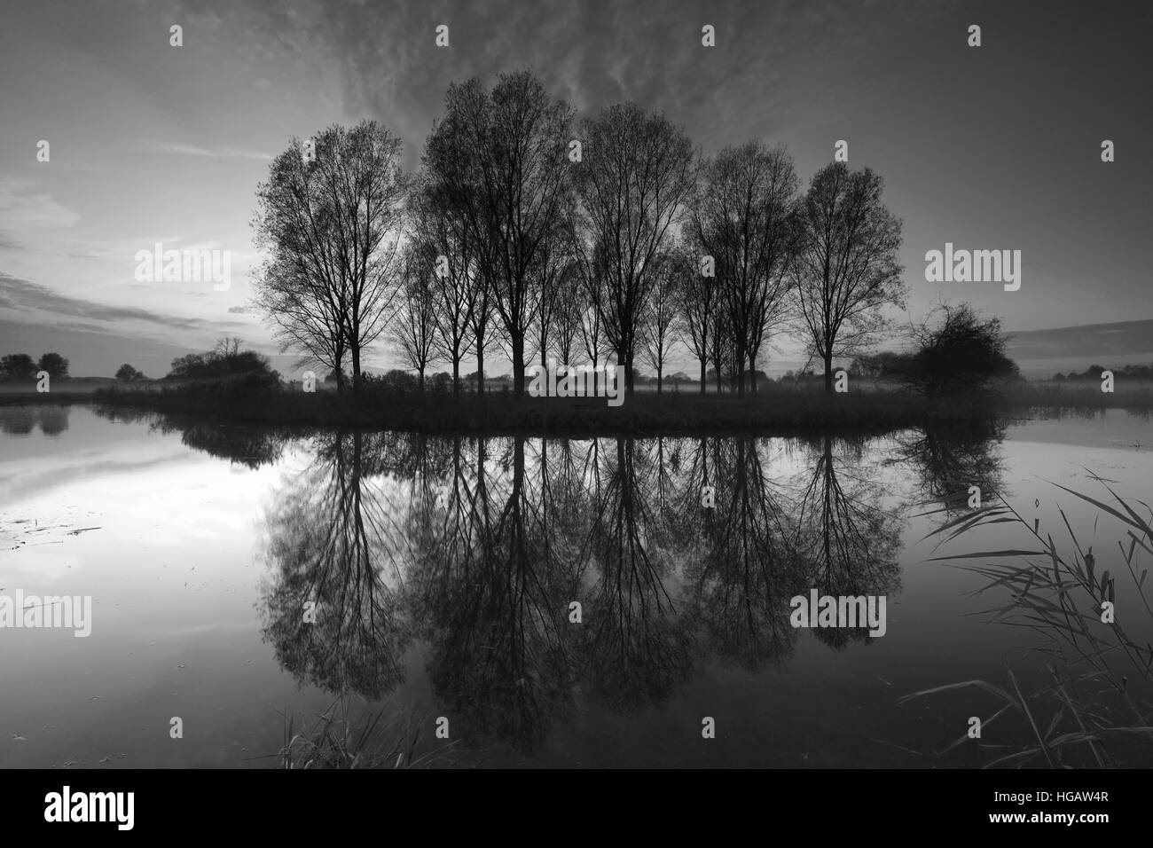 Hoare frost winter scene, river Welland, Glinton village ...