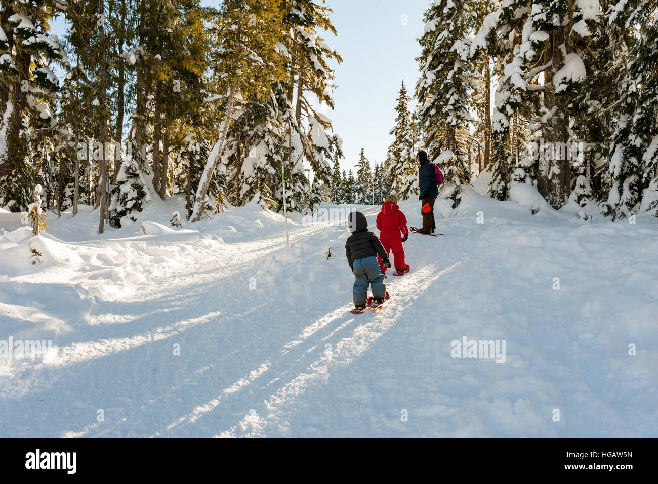 Snowshoe Snowshoeing High Resolution Stock Photography and Images - Alamy