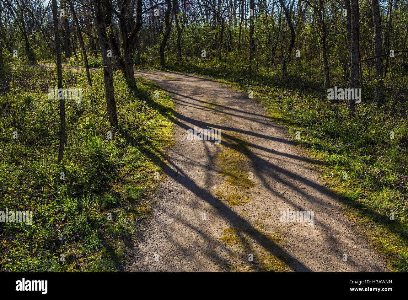 Walking the trail around the perimeter of the Mound City Group, where a ...