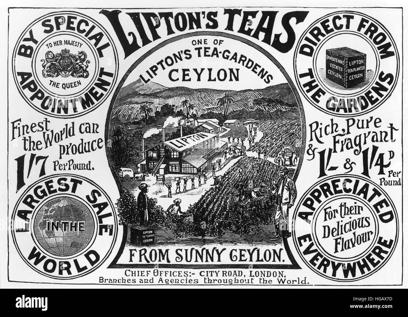 Ceylon tea 19th century hi-res stock photography and images - Alamy