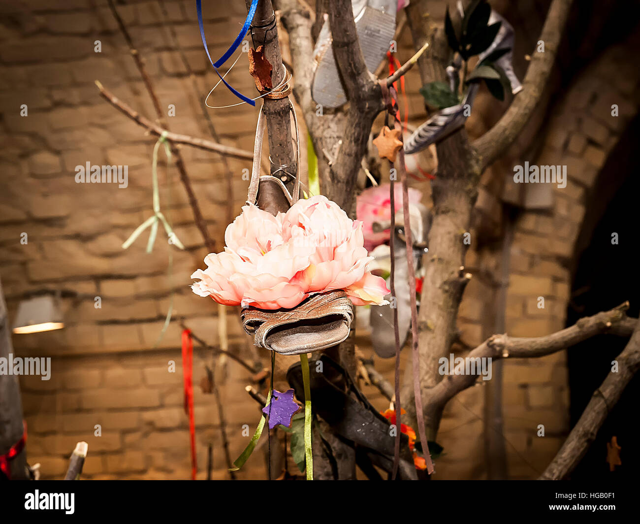 Shoe flower hi-res stock photography and images - Alamy