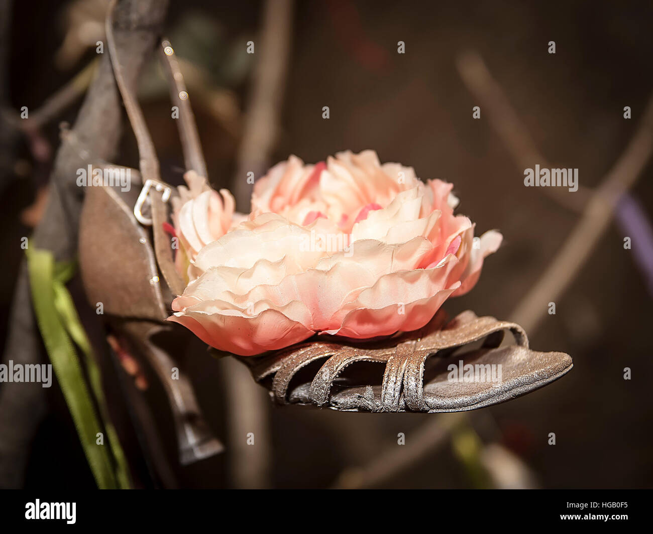Shoe flower hi-res stock photography and images - Alamy