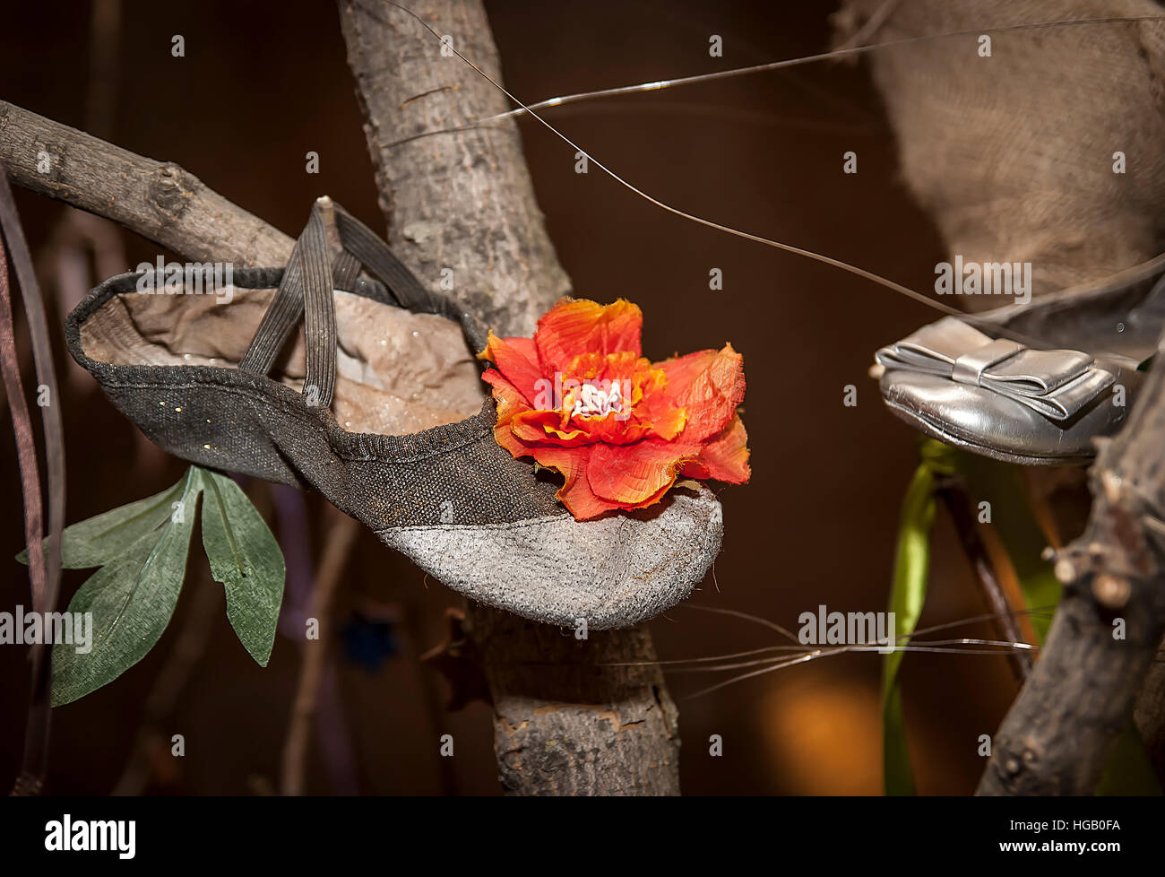 Shoe flower hi-res stock photography and images - Alamy