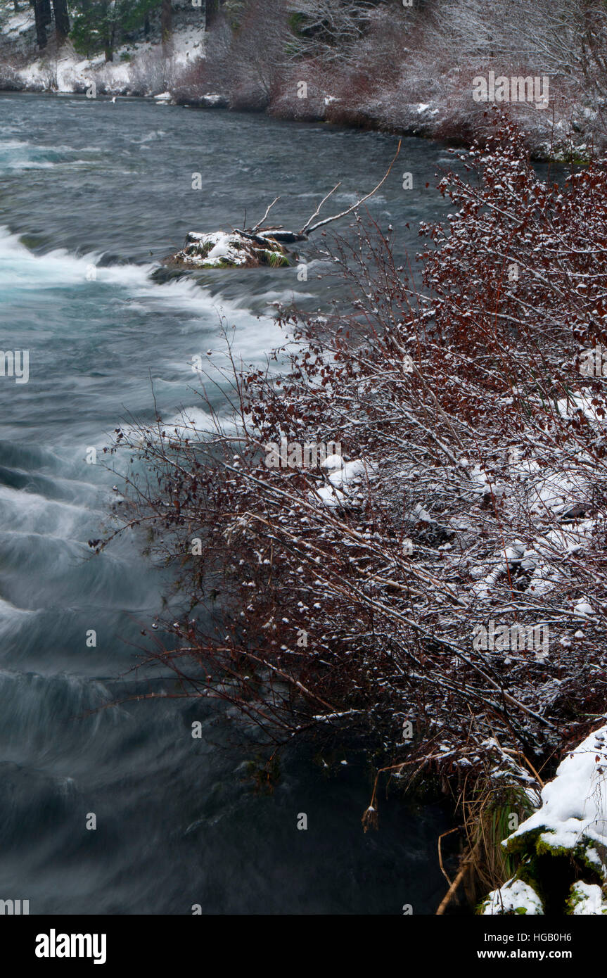 Metolius Wild and Scenic River at Wizard Falls Fish Hatchery, Deschutes ...
