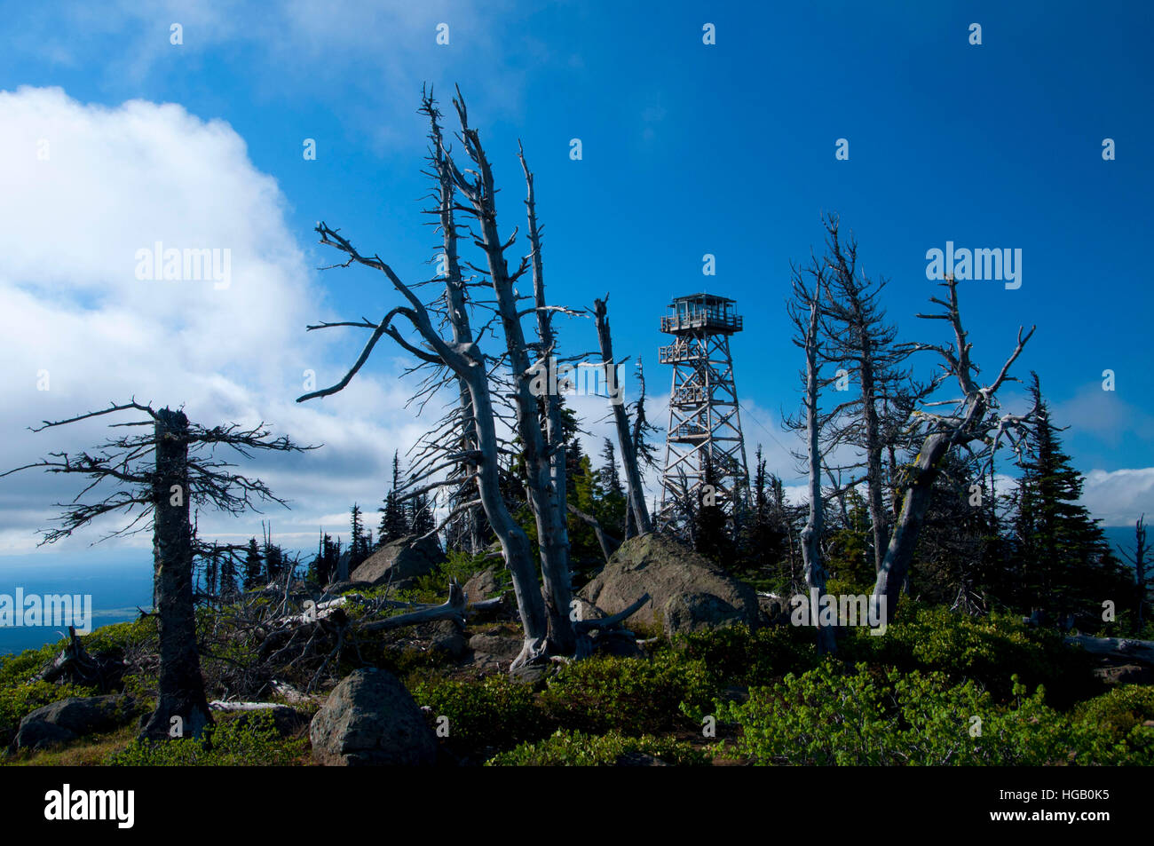 Forest fire lookout tower hi-res stock photography and images - Alamy