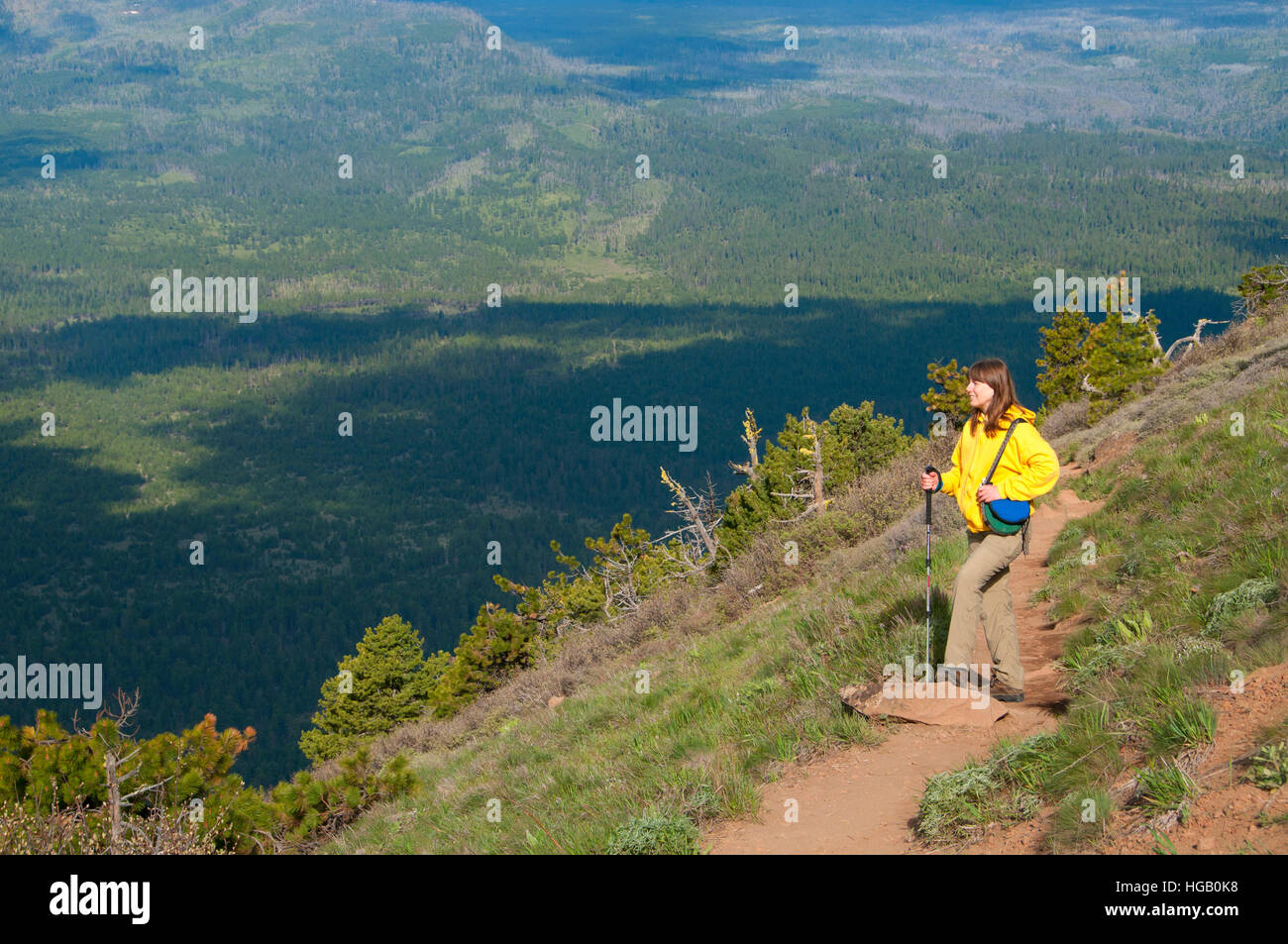 Black forest trail hi-res stock photography and images - Alamy