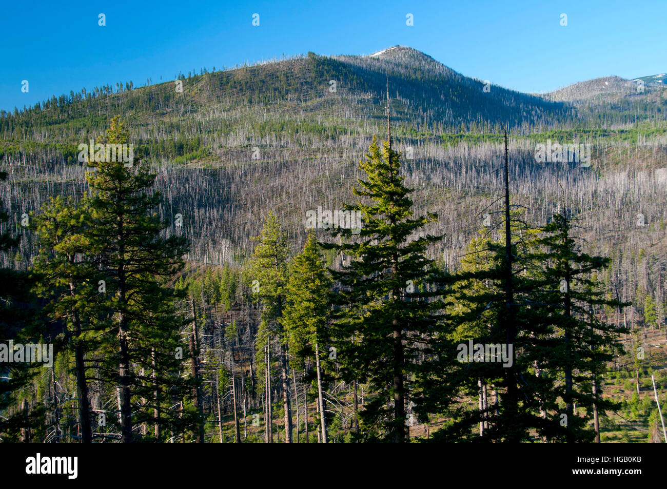 Cascade mountains oregon burn hi-res stock photography and images - Alamy