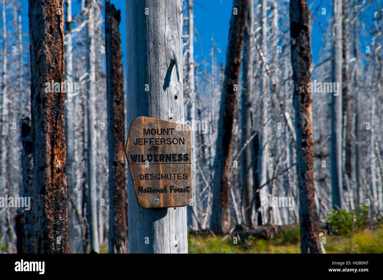 Wilderness sign along Pacific Crest Trail (PCT) in B&B Complex burn, Mt ...