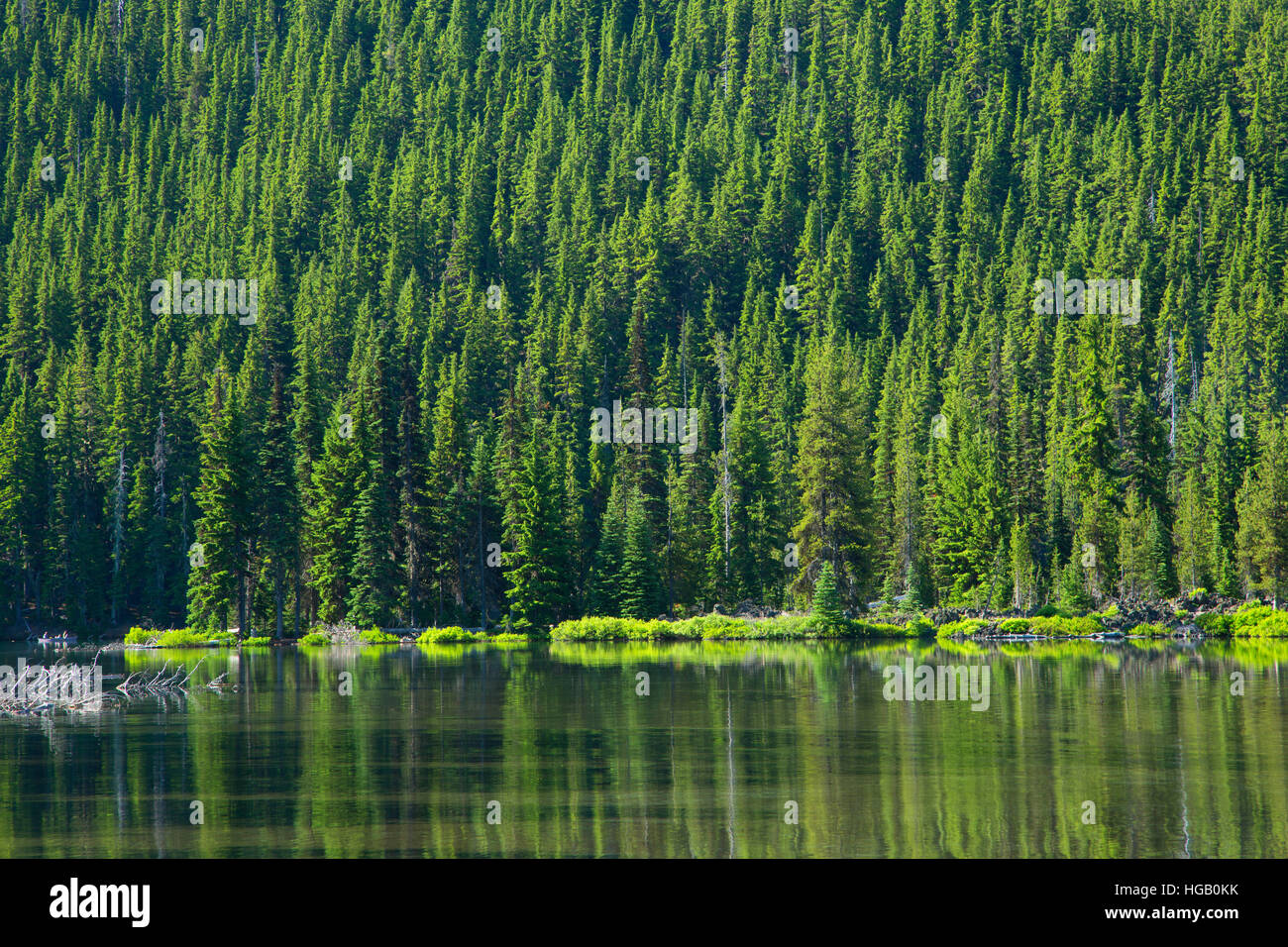 Devils Lake, Cascade Lakes National Scenic Byway, Deschutes National ...