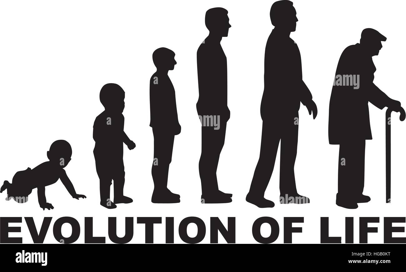 Evolution of life Stock Vector Image & Art - Alamy