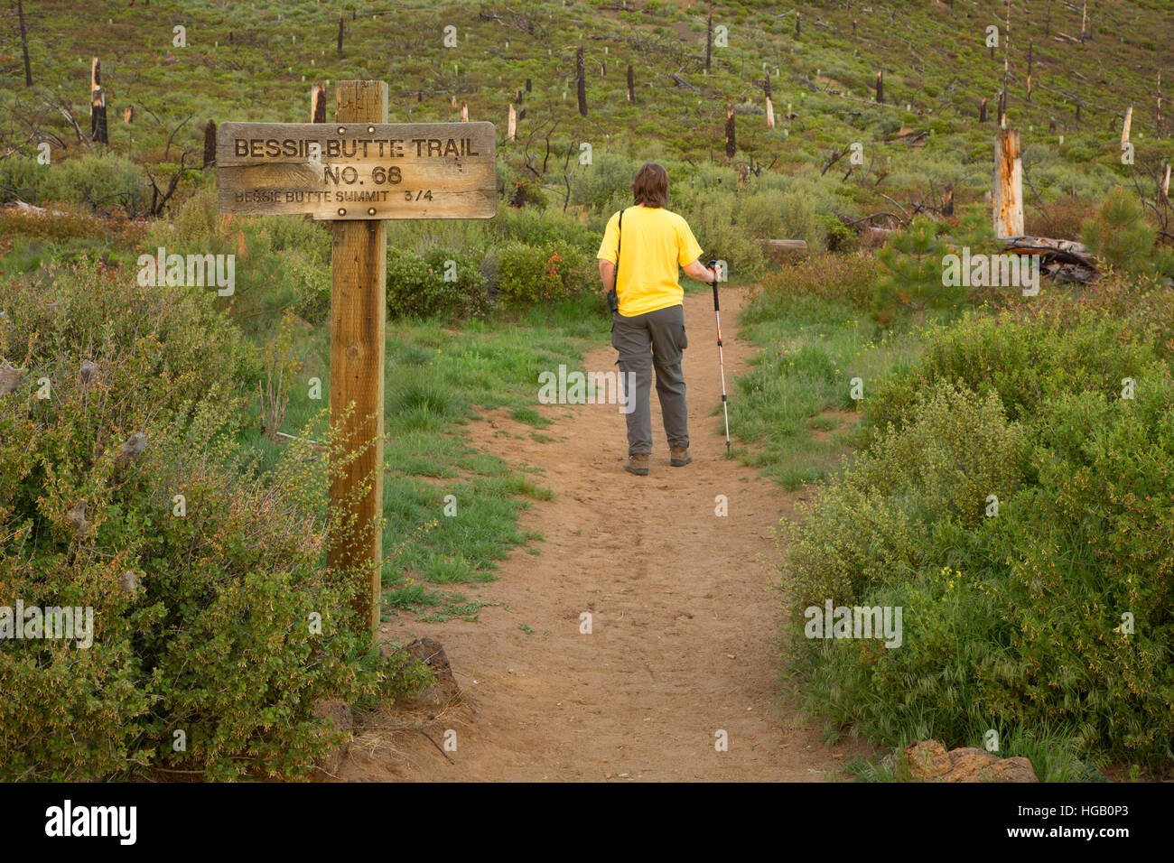 Bessie Butte Trail trailhead sign, Deschutes National Forest, Oregon ...